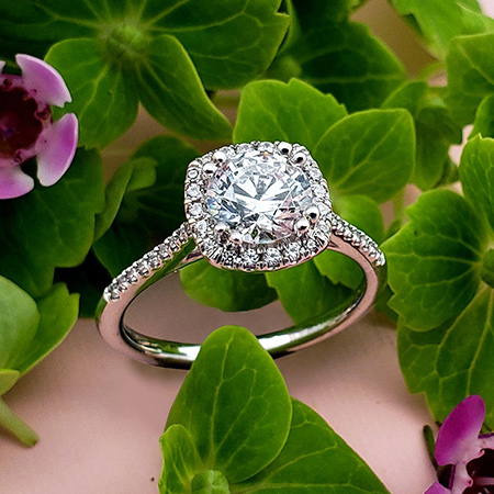 Coast Diamond - Reines & Rogers Jewelers